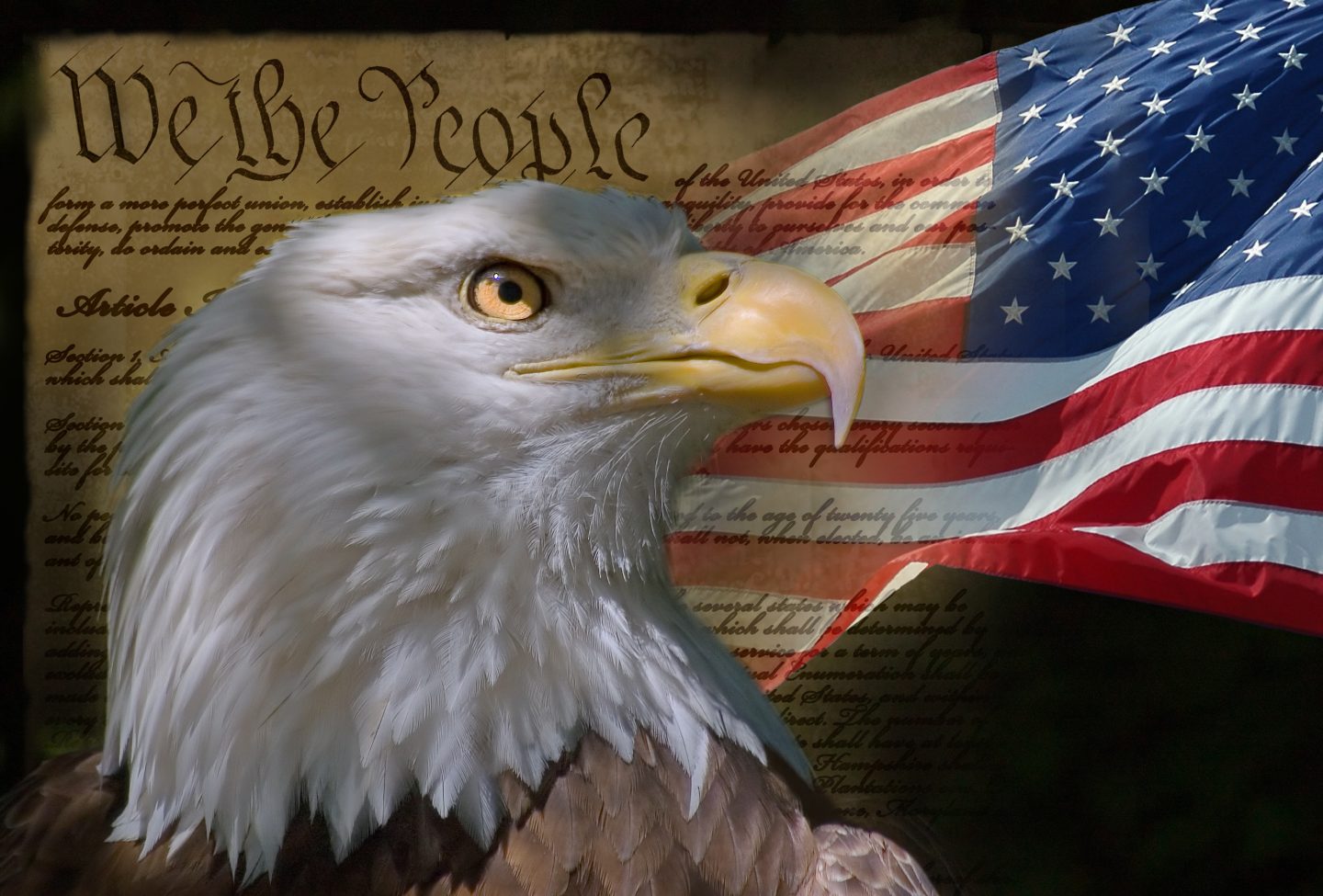 Preserving Freedom: The Importance of the Second Amendment - 1828 ...